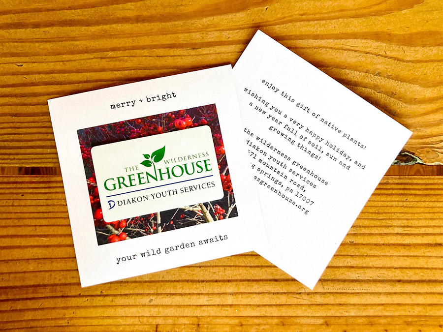 Wilderness Greenhouse | Diakon Wilderness Greenhouse